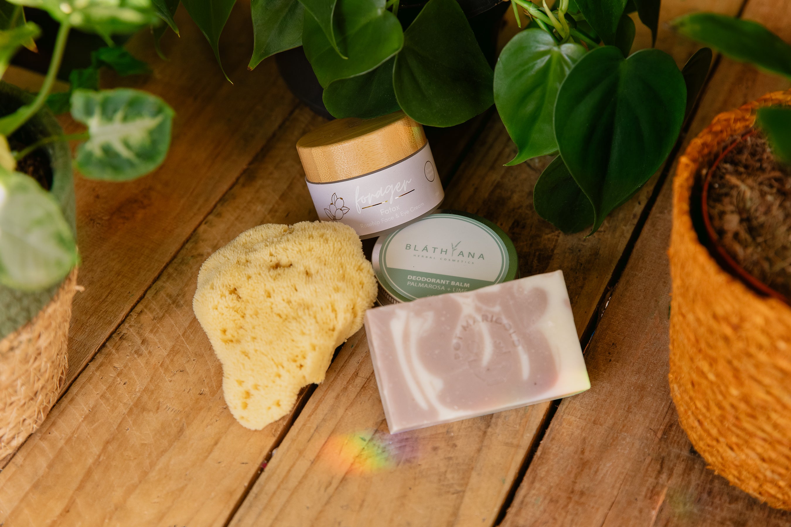 Skin Health – Sunfleck